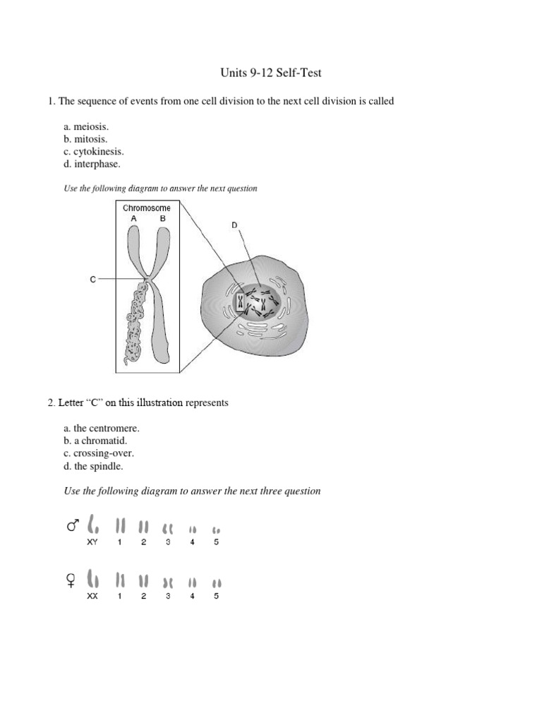 Mitosis/Meiosis | PDF | Meiosis | Mitosis