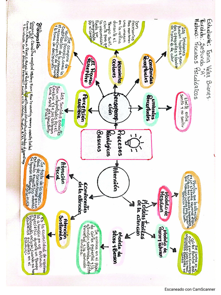 Mapa Mental (2) | PDF