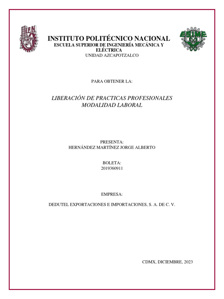 Reporte De Practicas Profesionales Pdf Business Logística