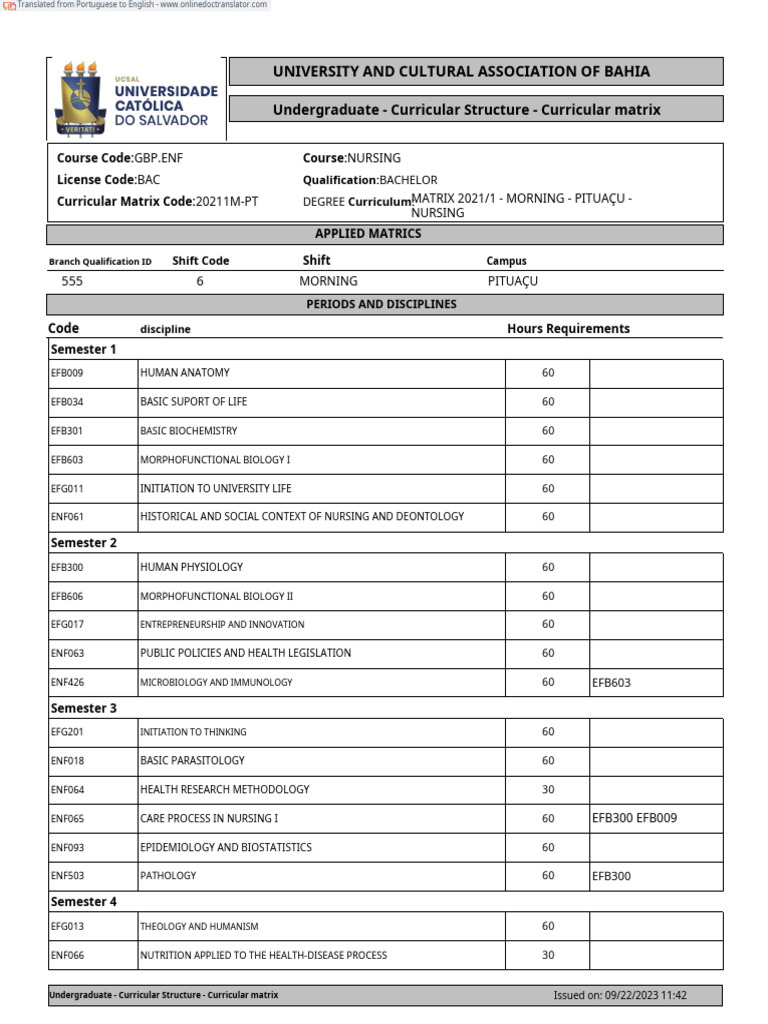 MATRIZ-ENFERMAGEM-MATUTINO PT en | PDF | Nursing | Health Care