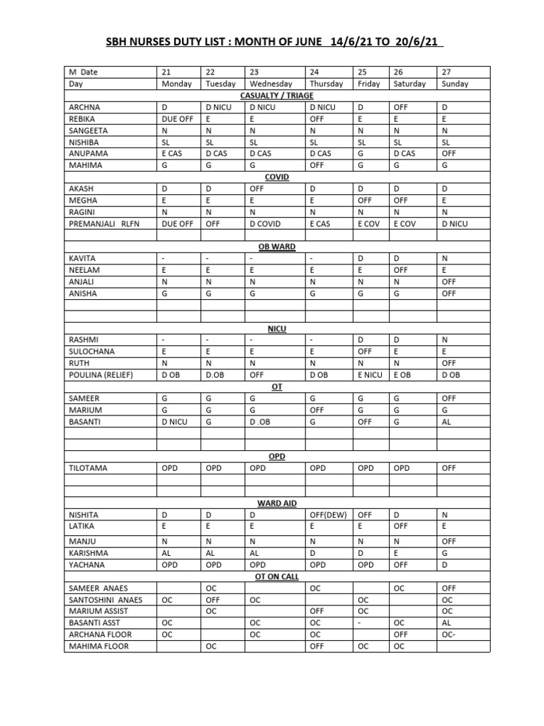 SBH Duty List Template 2 | PDF