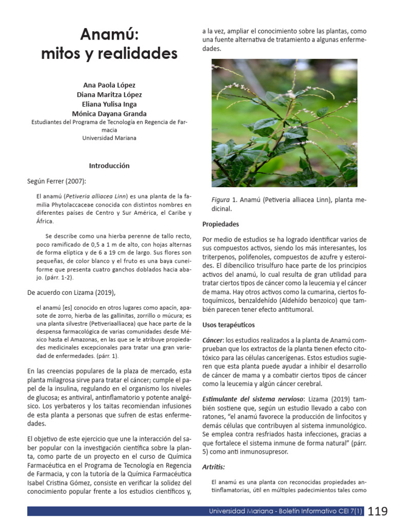 Adm-Ojs2014, Anamú | PDF | Cáncer | Sistema inmune