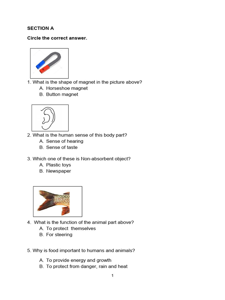Science Year 1 | PDF | Senses | Foods