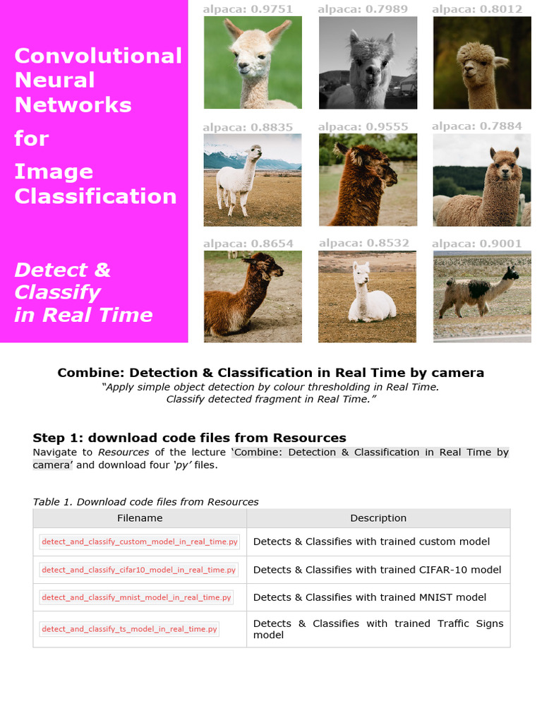 Combine Detection and Classification in Real Time | PDF | Art