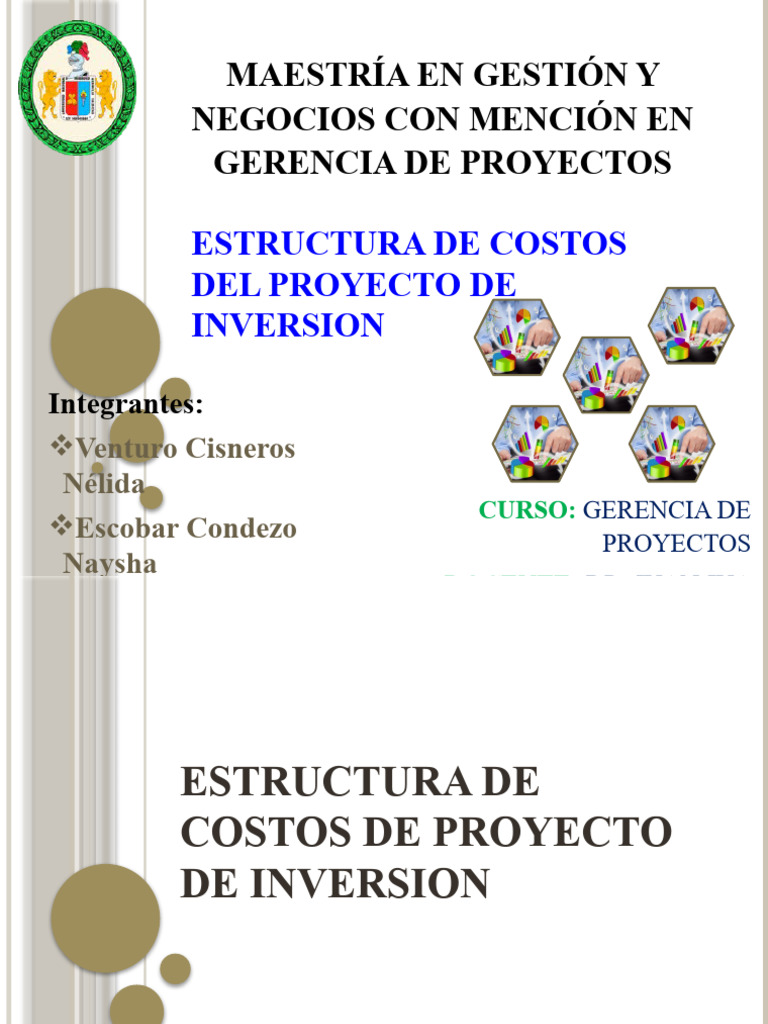 Estructura de Costos de Proyecto de Inversion-Nnn | PDF | Inversiones ...