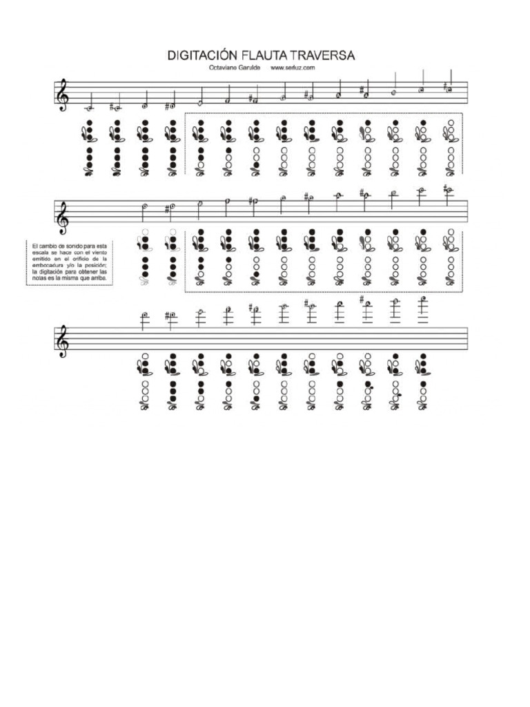 Notas de La Flauta | PDF