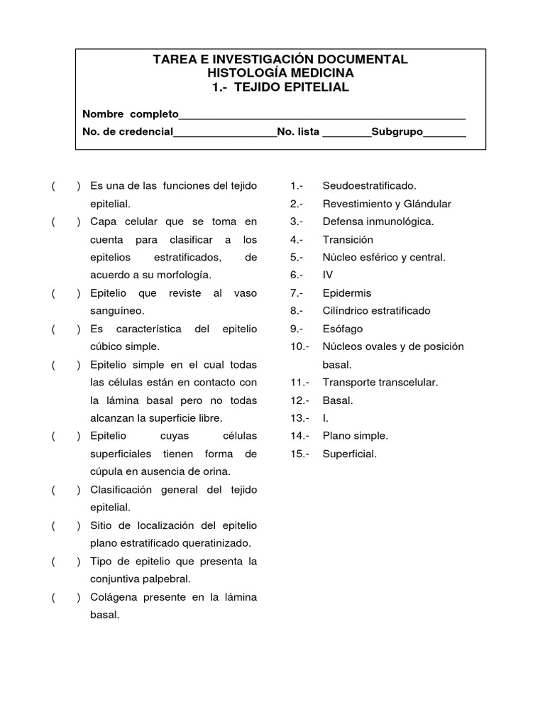 Tarea e Investigacion Documental Histolo | PDF | Epitelio | Estómago
