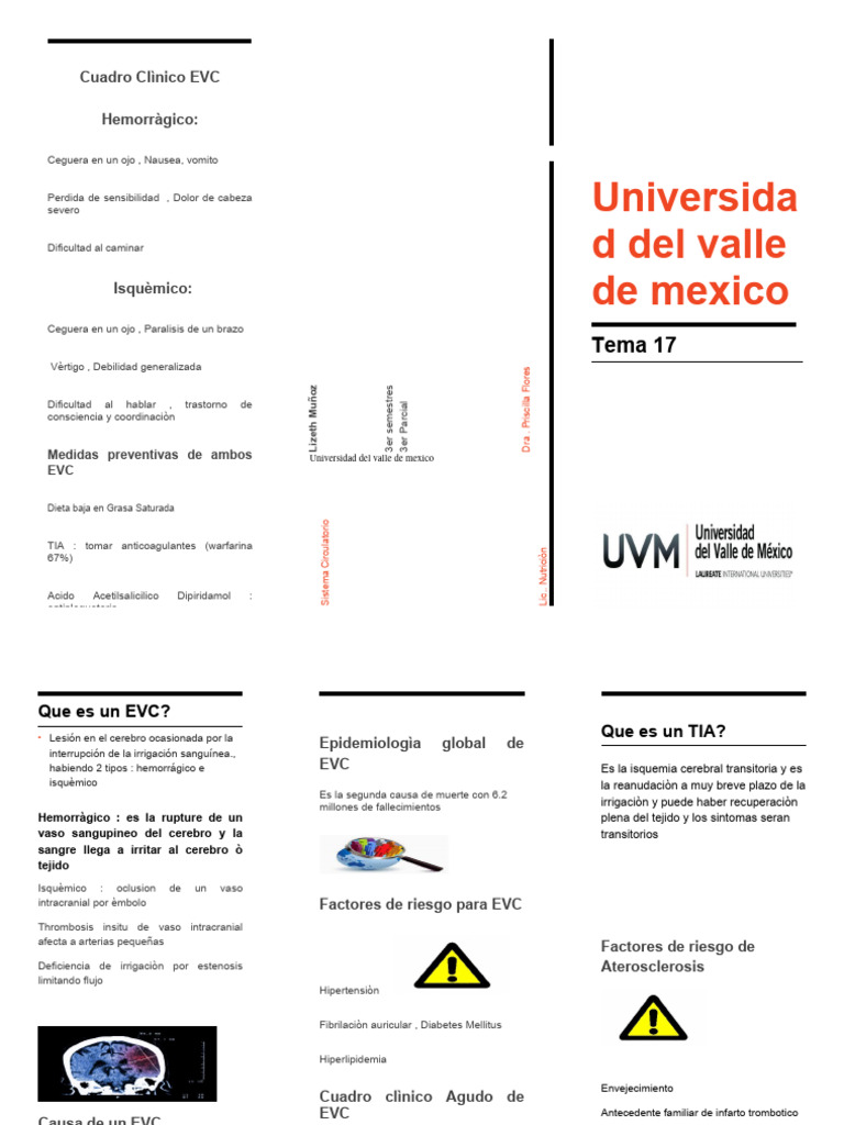 INFOGRAFICO EVC Listo | PDF | Carrera | Isquemia
