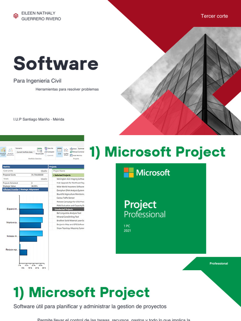 Software Esencial para Ingeniería Civil | PDF | Software | Ingeniero civil