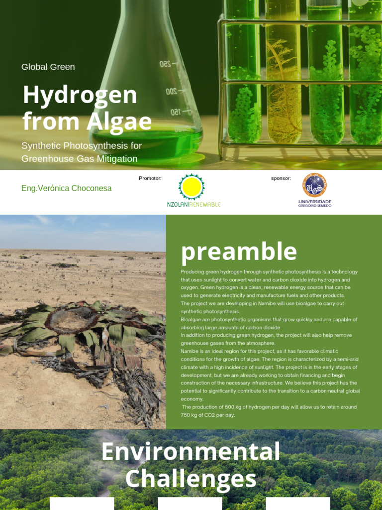 Algae Hydrogen | PDF | Climate Change | Climate Change Mitigation