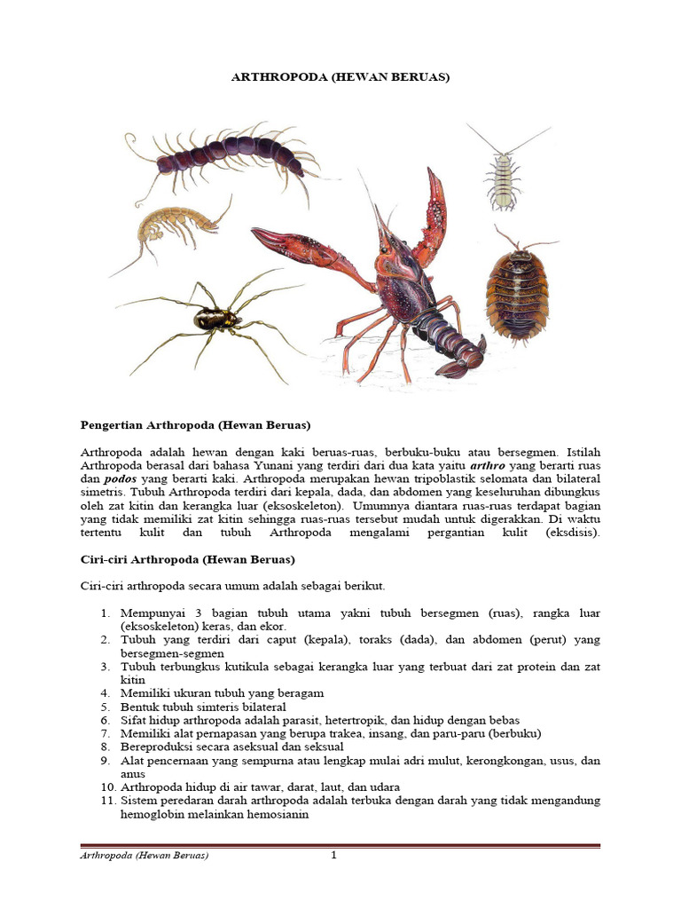 Ciri dan Klasifikasi Hewan Beruas | PDF | Griya & Taman | Sains ...