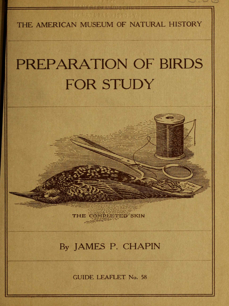 Guide Leaflet 058 | PDF | Zoology