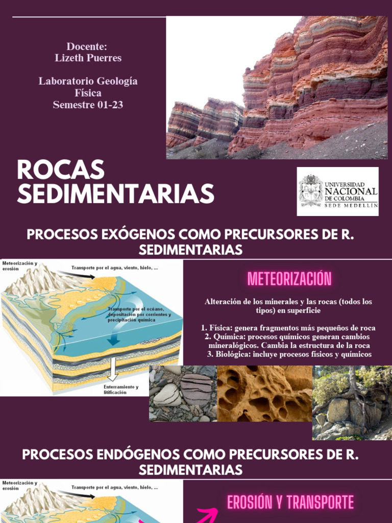 Tipos y Formación de Rocas Sedimentarias | PDF | Roca sedimentaria ...