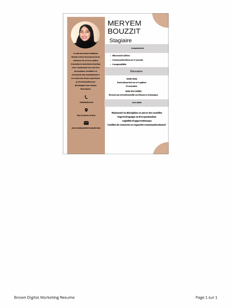 Brown Digital Marketing Resume | PDF