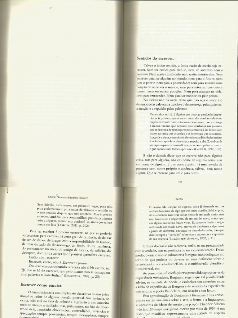 Desobedecer A Linguagem - Cap 3 Escritas P 101-140 Carlos Skliar | PDF