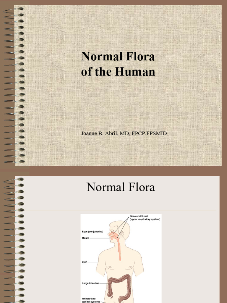 Normal Flora | PDF | Streptococcus | Staphylococcus