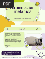 Metanogénesis: Proceso y Aplicaciones | PDF | Archaea | Biología
