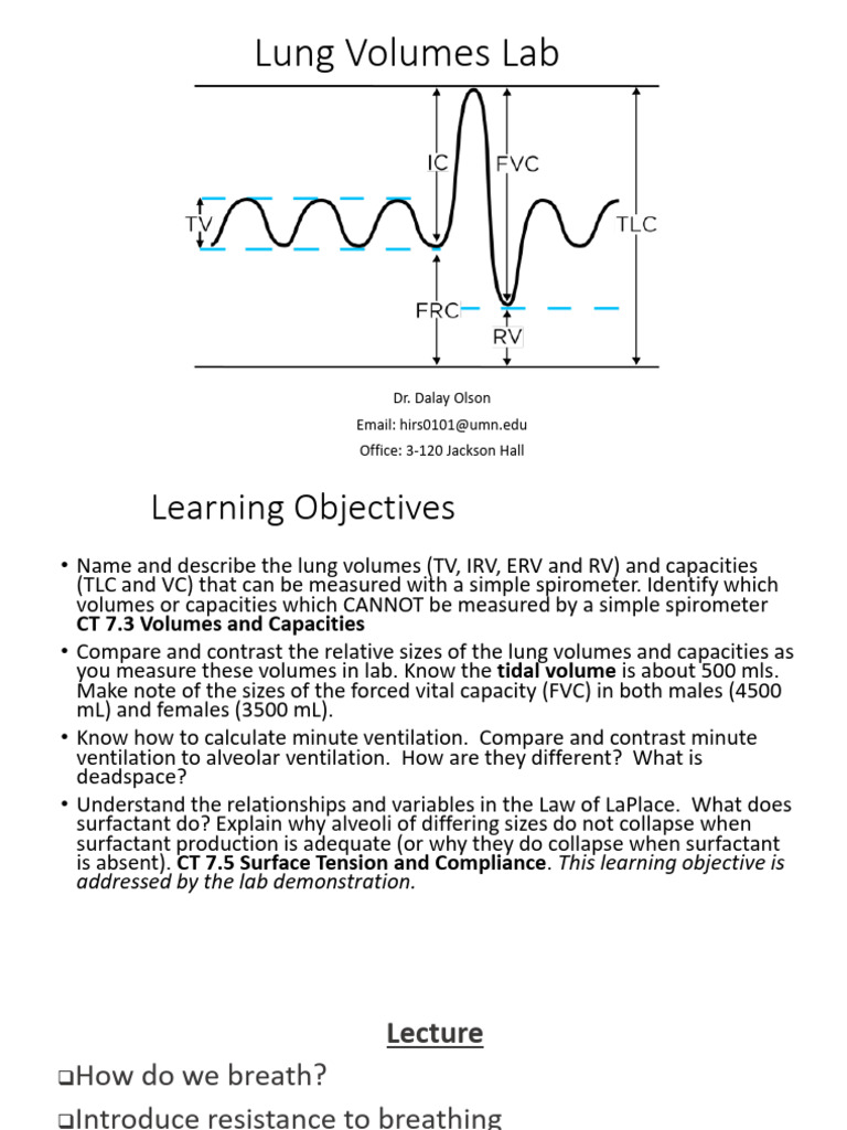 Lung Volume Lab - Student Notes | PDF | Lung | Breathing