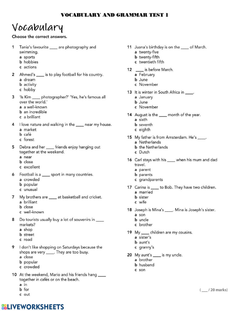 Vocabulary and Grammar Test 1 | PDF
