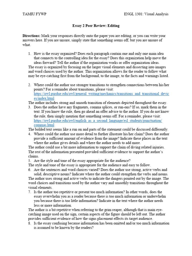 Essay 2 Peer Review Editing Vincent 2 | PDF | Essays | Verb