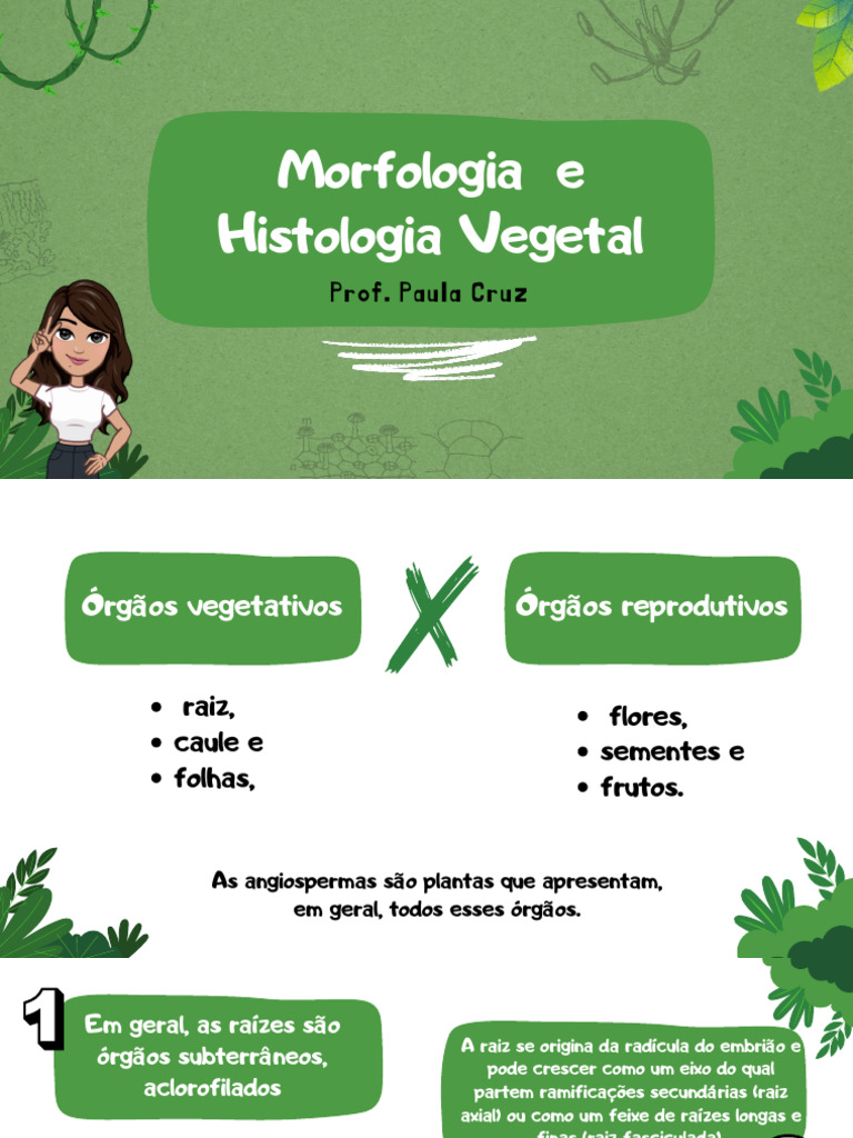 2EM - Botânica - Aula 04 - Morfologia Vegetal Raiz | PDF | Raiz | Plantas