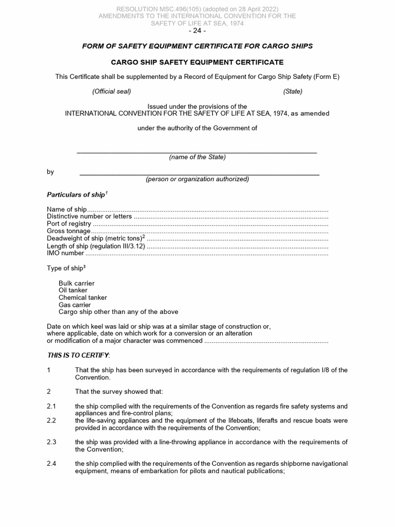 Format - Cargo Safety Equipment Certificate + Form E | PDF | Shipping ...