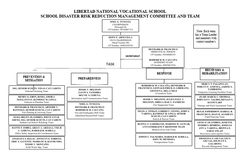 SDRRM Committee and Team | PDF | Emergency Management | Risk