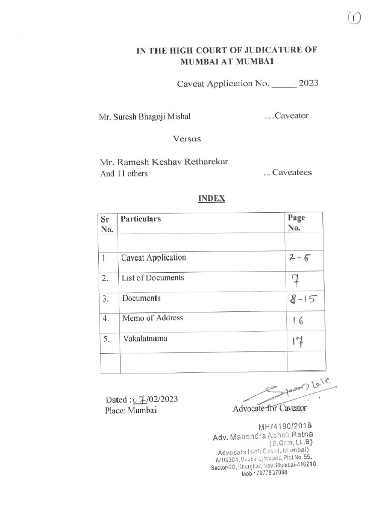 Caveat Application Scan | PDF