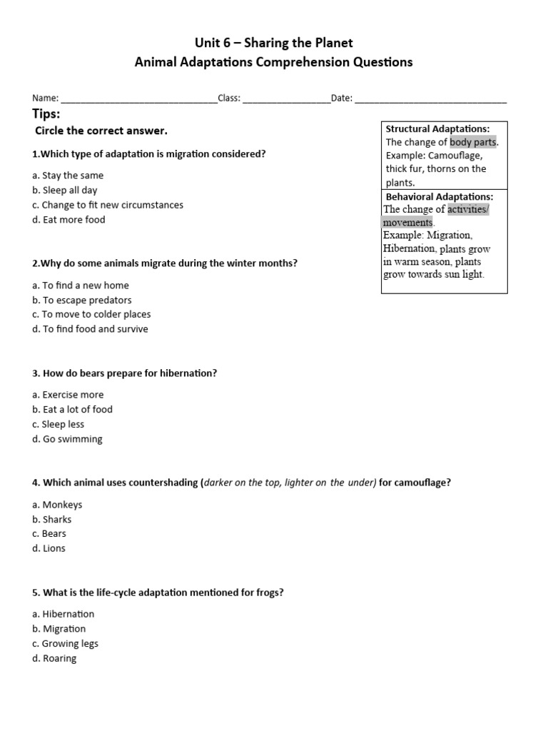 Animal Adaptations Comprehension Questions | PDF | Camouflage | Adaptation