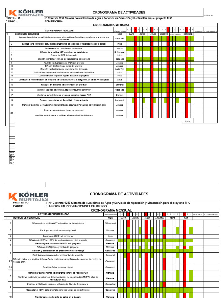 Modelo Programa Mensual de Actividades de Prevención Por Cargo | PDF | Tecnología e ingeniería