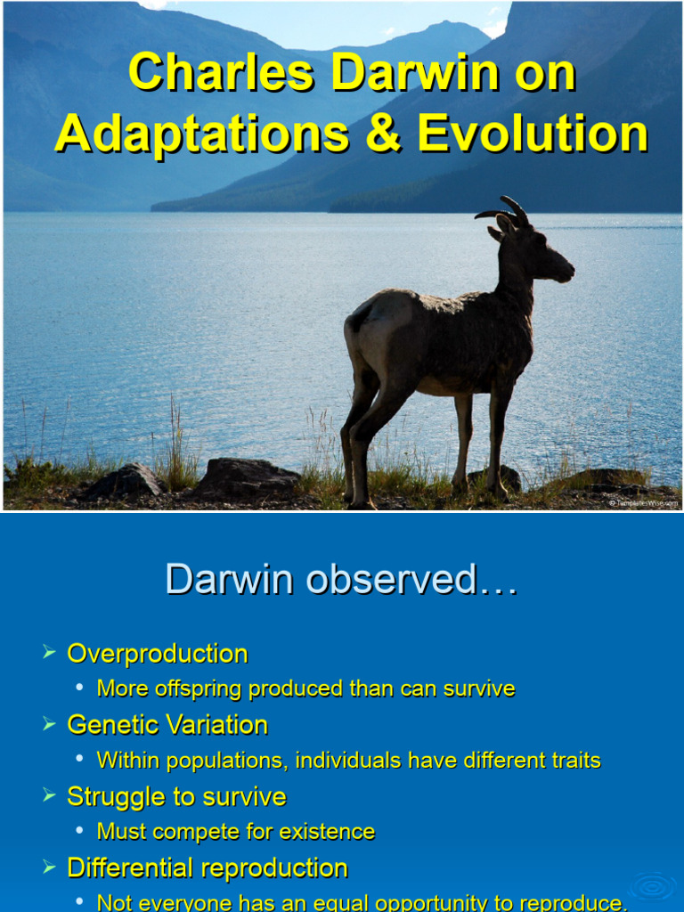 Adaptation I Pdf Adaptation Natural Selection