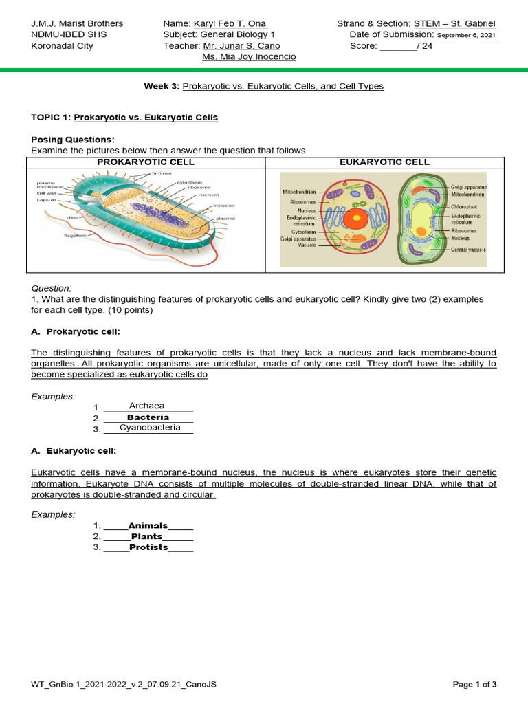 Prokaryotic vs. Eukaryotic Cells and Cell Types | PDF | Cell (Biology ...
