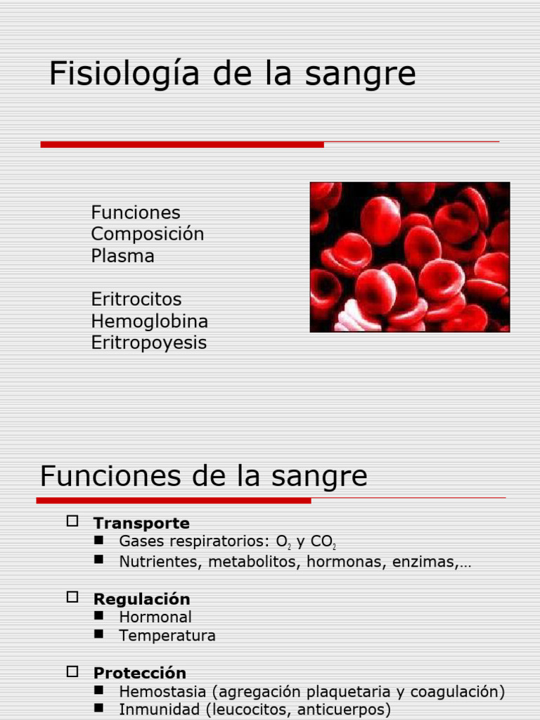 Funciones de La Sangre | PDF | Sangre | Coagulación