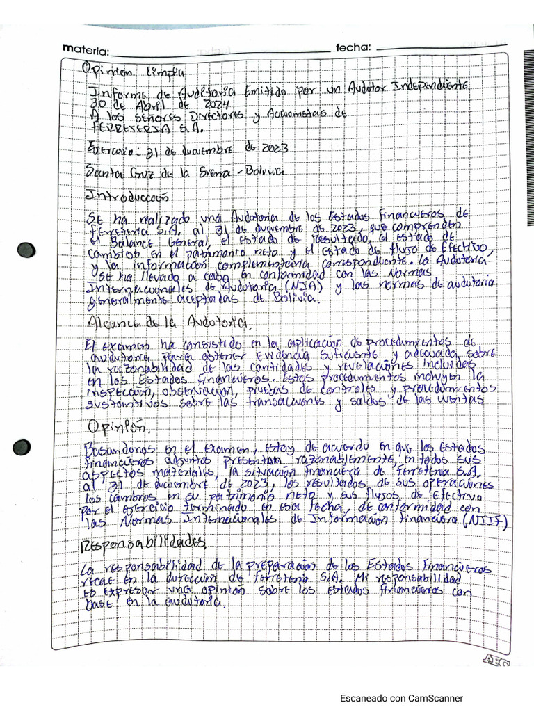 Dictamen Limpio y Con Salvedad | PDF