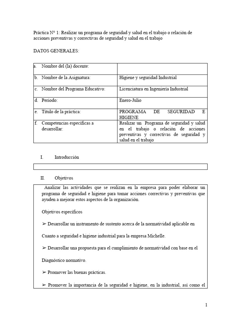 Programa de Seguridad e Higiene | PDF | Business | Higiene