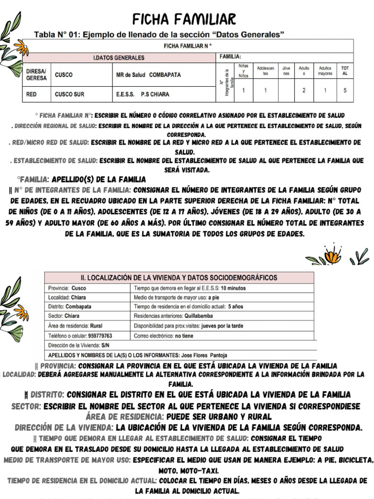 Ficha Familiar | PDF | Documento de identidad
