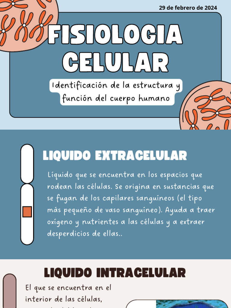 Procesos Fisiológicos en la Célula | PDF | Biología Celular) | Capilar