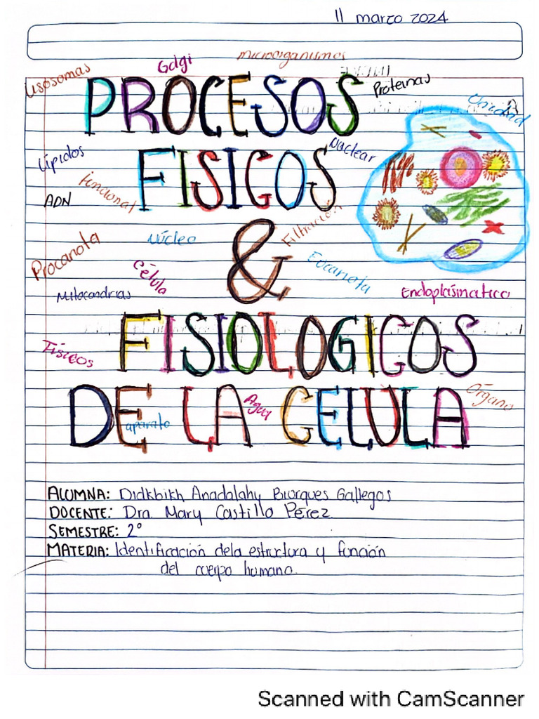 Procesos físicos y fisiológicos de la célula 2 | PDF