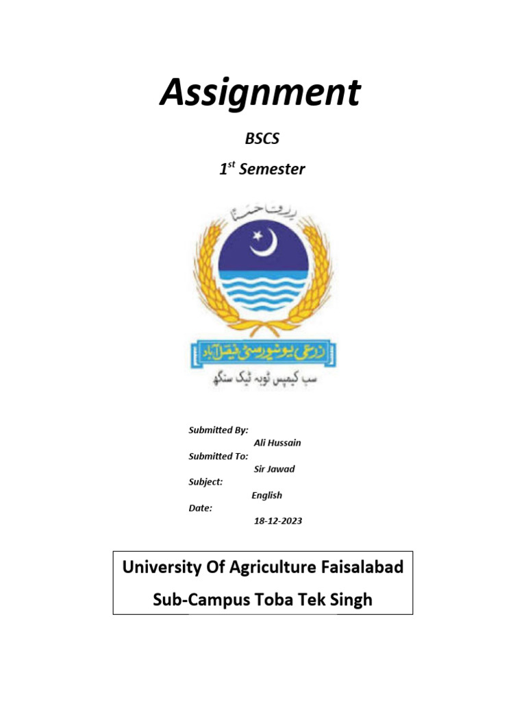 Assignment: Bscs 1 Semester | PDF | Communication | Human Communication