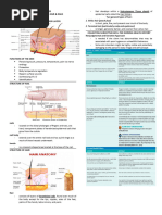 Nursing Skin Assessment | PDF