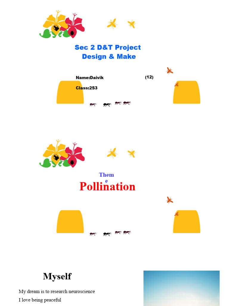 Gundre Daivik Reddy SCSS 2024 Sec 2 Journal Template Stu2 2 PDF