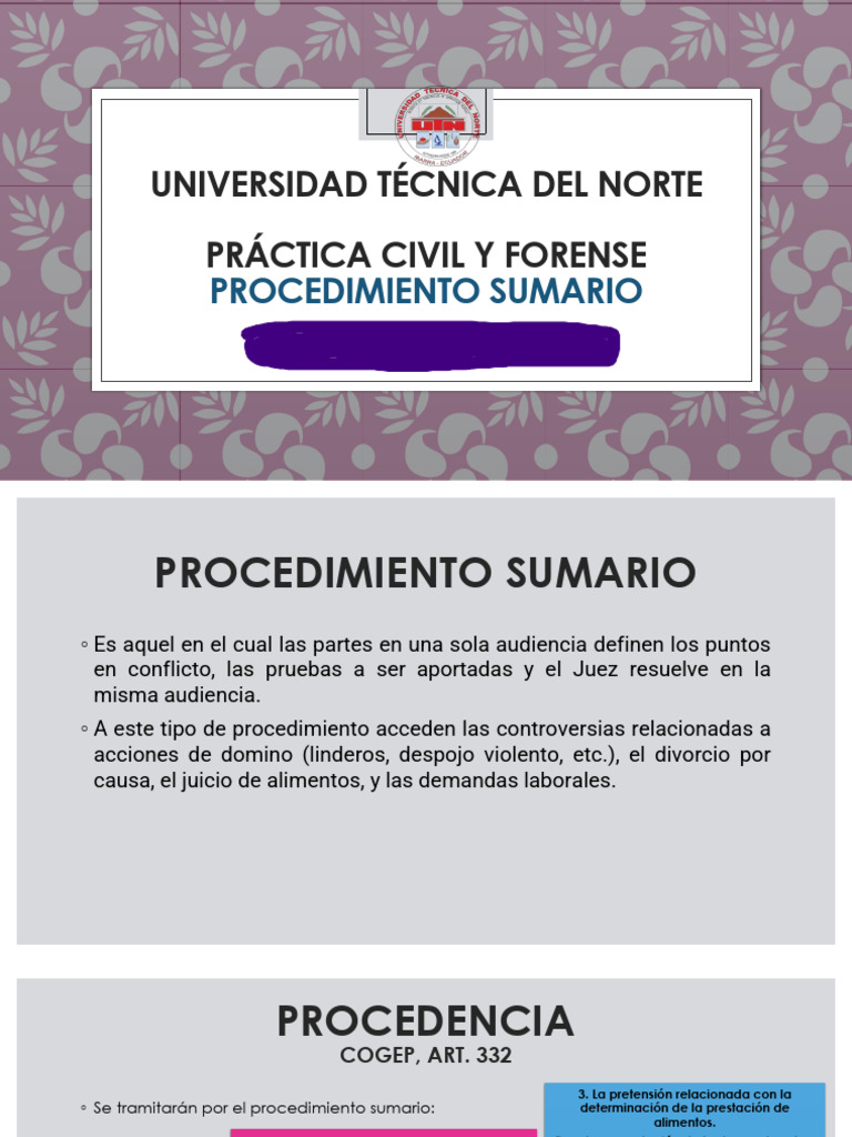 Proceso Sumario 1 | PDF | Divorcio | Demanda judicial