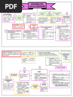 Esquema de Juicio Ordinario. | PDF | Separación de poderes | Judicaturas