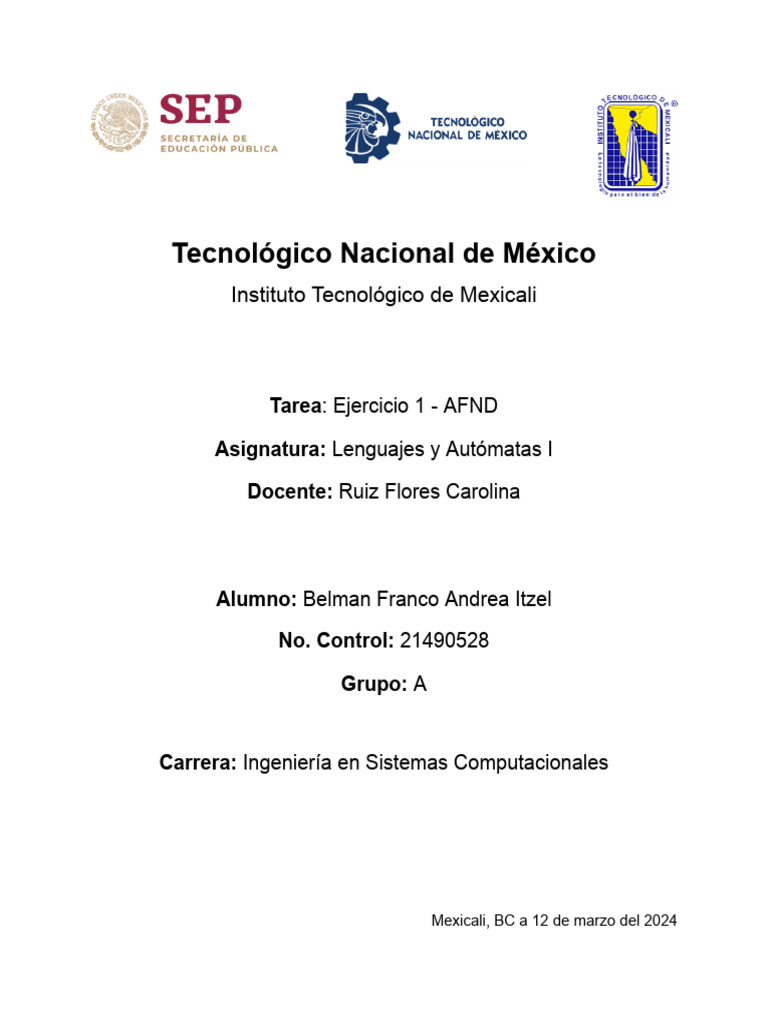 Ejercicio AFND: Componentes y Cadenas | PDF