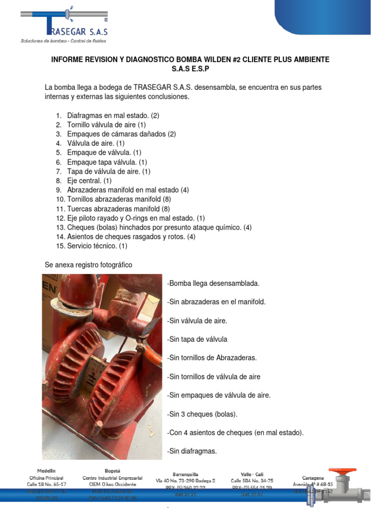 Informe Reviision y Diagnostico Bomba #2 | PDF