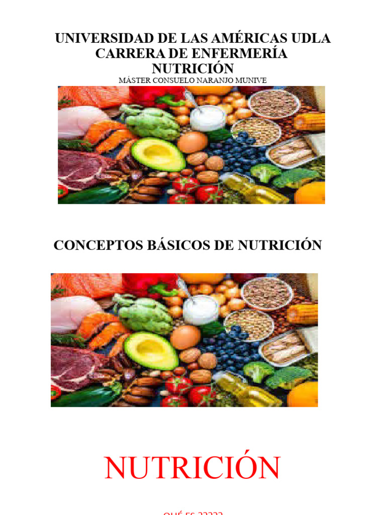 Conceptos Básicos | PDF | Nutrición | Dieta y nutrición