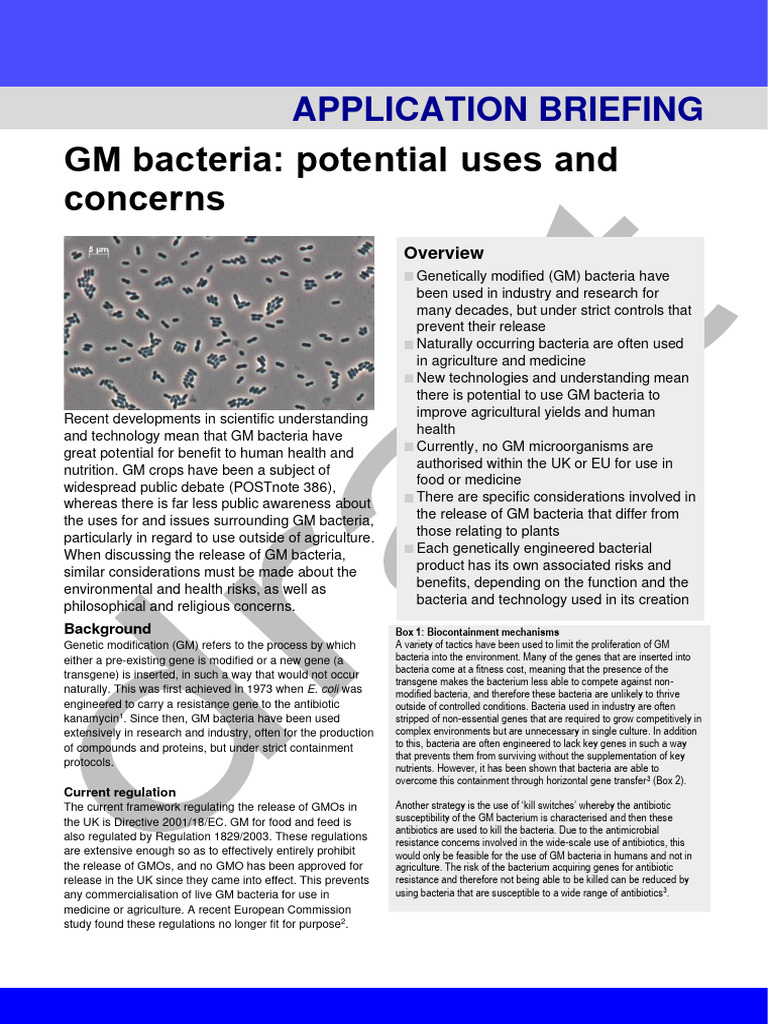 GM Bacteria: Uses and Risks Explained | PDF | Genetic Engineering ...