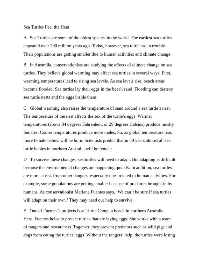 (123doc) - Dap-An-Mon-Anh-Van-3-Eg09 | PDF | Sea Turtle | Biogas