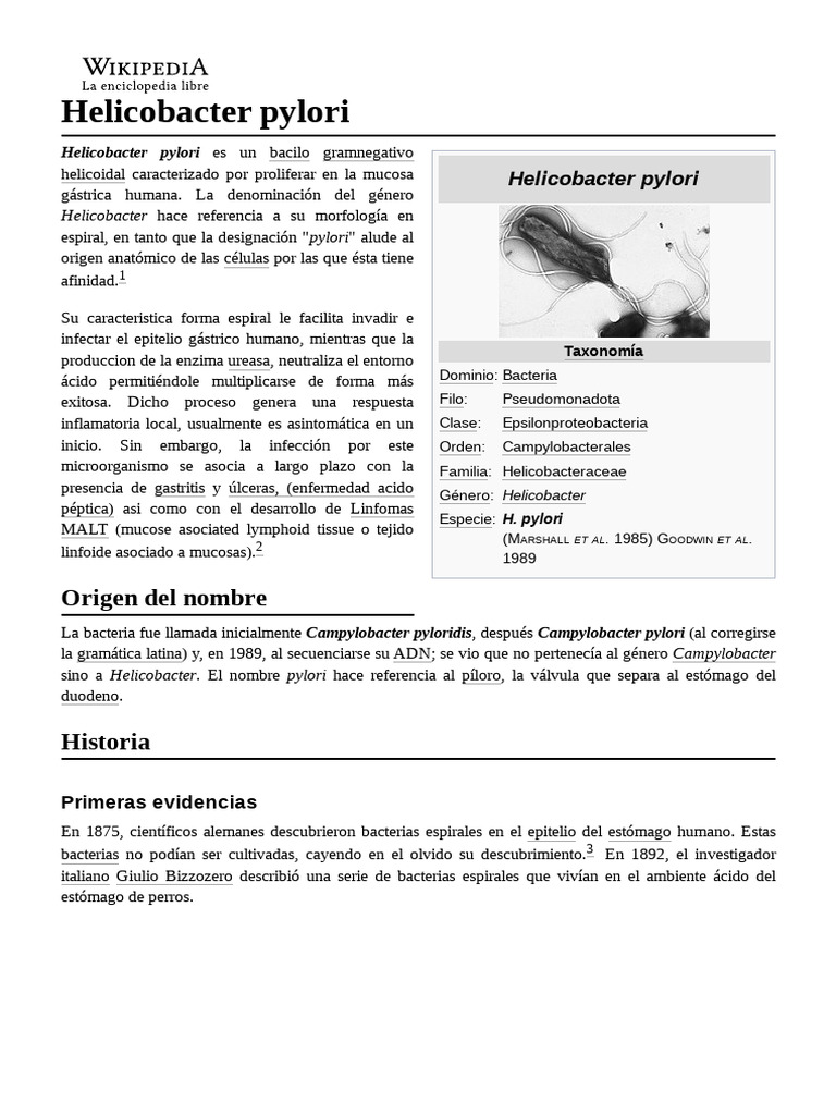 Helicobacter pylori: Bacteria gástrica patógena | PDF | Biología ...