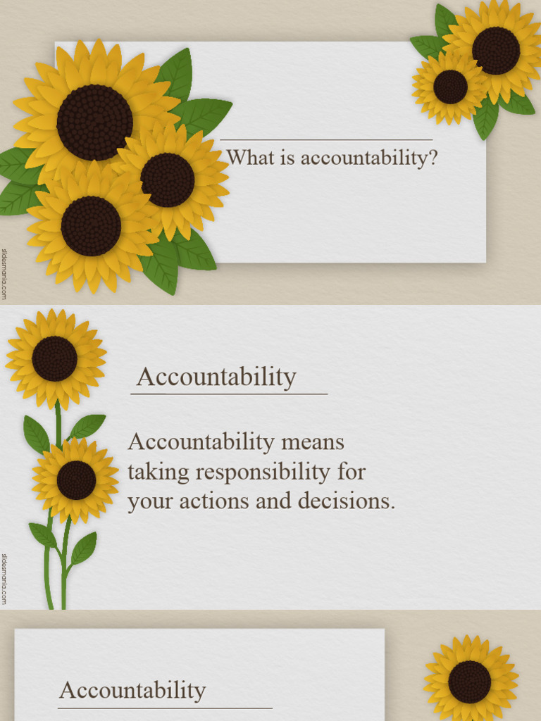 What Is Accountability | PDF